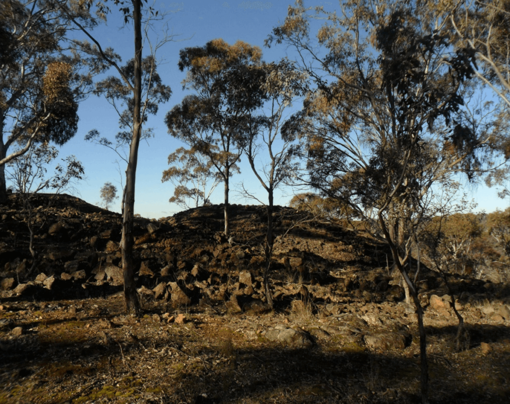 Sofala Gold | Minrex Resources